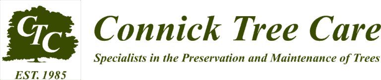 Commercial Tree Surgeons & Tree Maintenance | Connick Tree Care