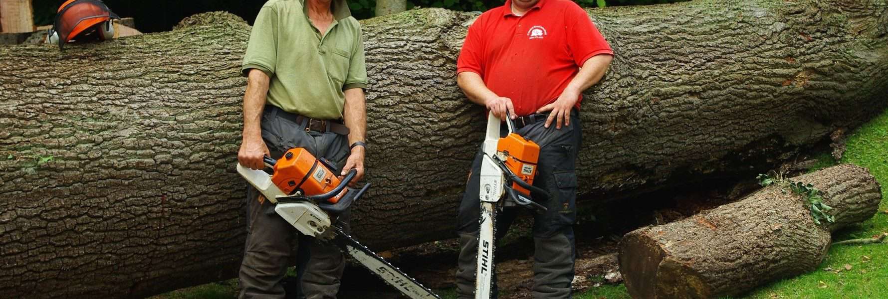 Tree Felling and Tree Removal - Connick Tree Care