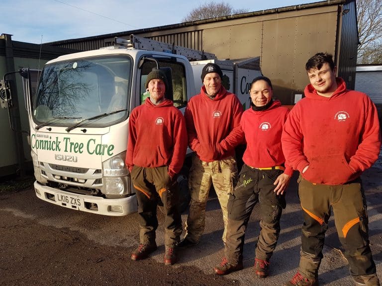 Quality Tree Surgeons at Affordable Prices | Connick Tree Care