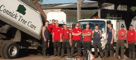 Quality Tree Surgeons at Affordable Prices | Connick Tree Care