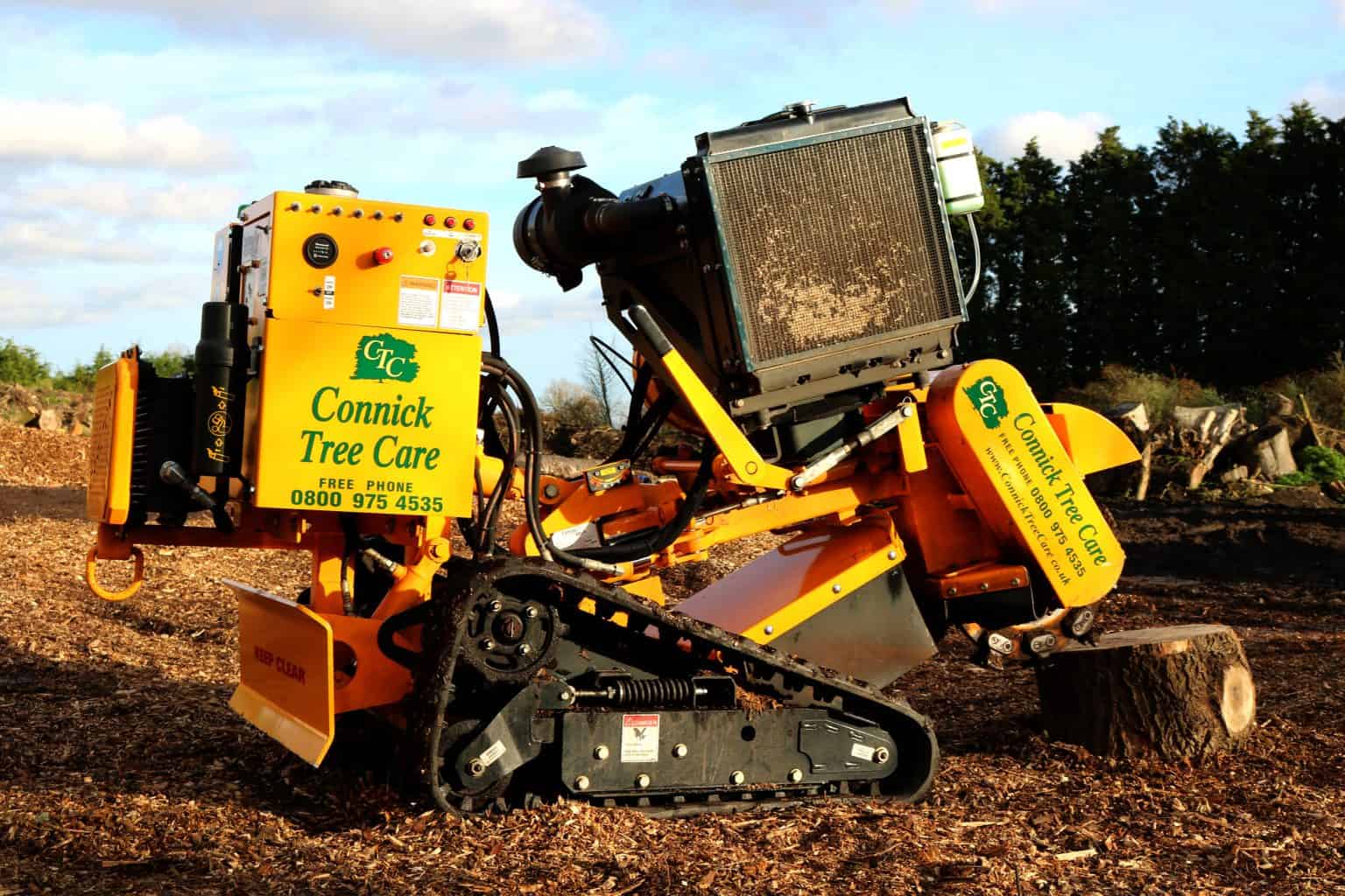 Tree Stump Management - Connick Tree Care