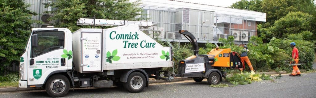 Arboriculture Services for Facilities Management Companies - Connick ...