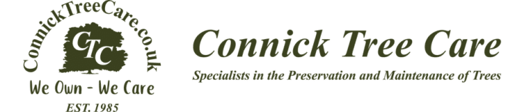 Commercial Tree Surgeons & Tree Maintenance | Connick Tree Care