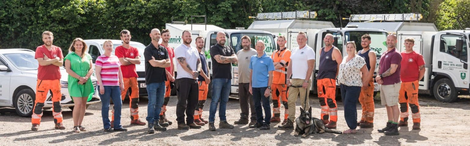 Commercial Tree Surgeons & Tree Maintenance | Connick Tree Care